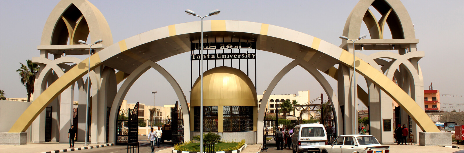 Tanta University Logo